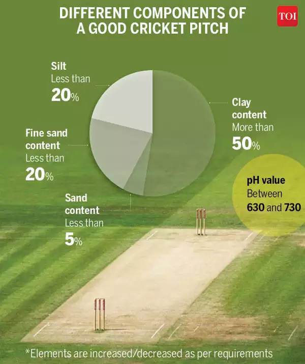 All you need to know about types of pitches in cricket. - CricHeroes