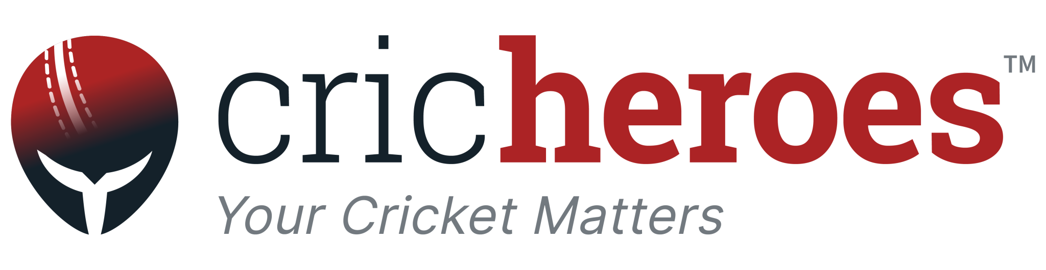 What is DLS AKA Duckworth-Lewis method in cricket - How is it ...