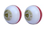 Types of Balls in Cricket: A Complete Guide - CricHeroes