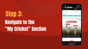Wagon Wheel in Cricket: How to Make It with CricHeroes App - CricHeroes