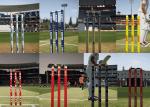 Stumps Meaning in Cricket: Types, Role, and Significance - CricHeroes