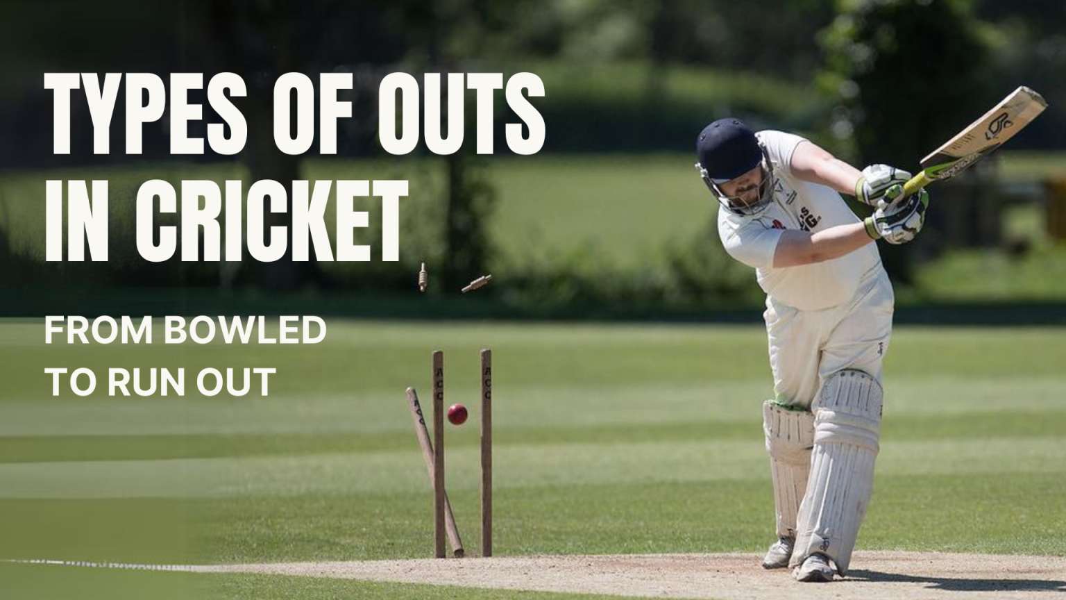 Types of Outs in Cricket: From Bowled to Run Out - CricHeroes