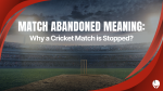 Match Abandoned Meaning: Why a Cricket Match Is Stopped ? - CricHeroes