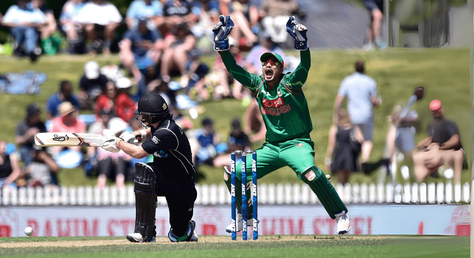 𝐓𝐨𝐩 𝟏𝟎 Best Wicket Keeper in the Cricket World [Full List & Stats ...