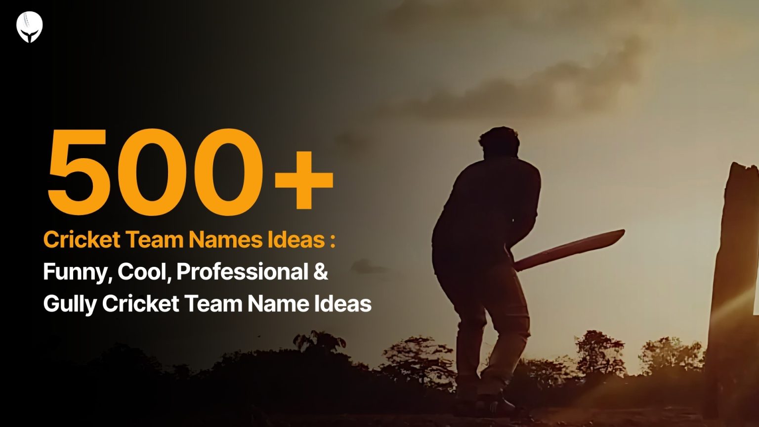 500+ cricket team names for 2025: funny, cool, professional & gully ...