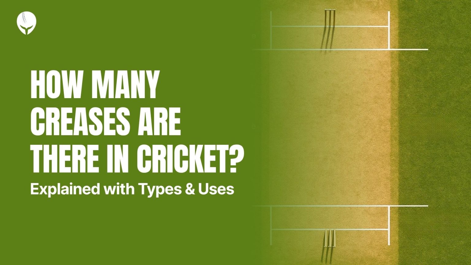 How Many Creases Are There in Cricket? Explained with Types & Uses ...